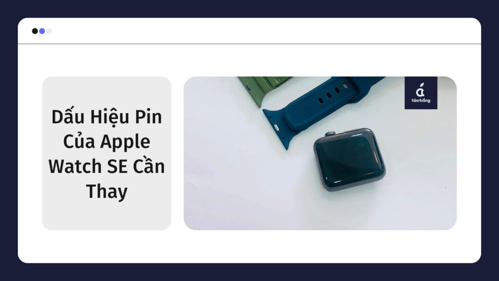 Pin Của Apple Watch SE, Dấu Hiệu Và Nguyên Nhân Thay Pin