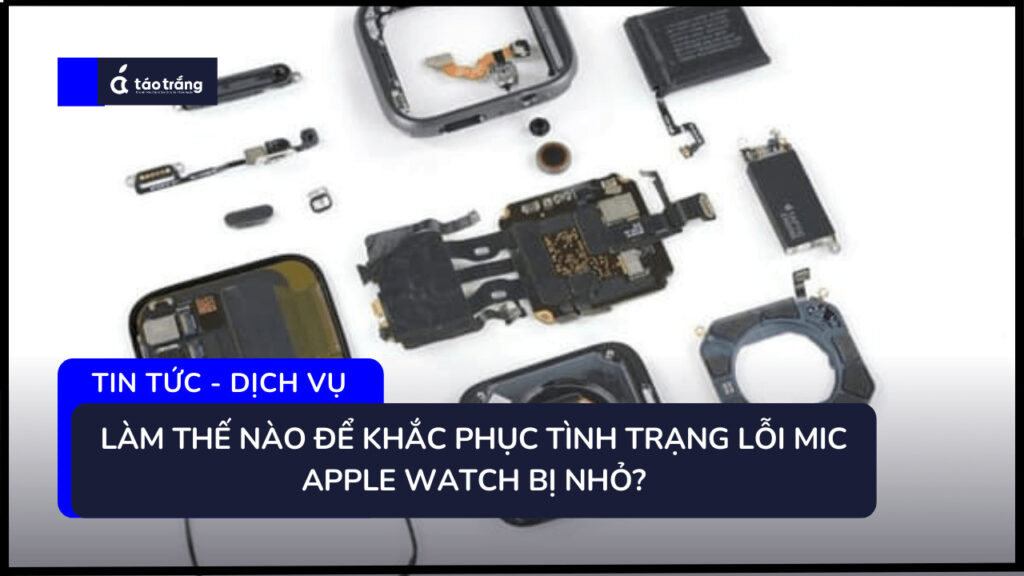 Apple Watch Bị Lỗi Mic (Micro) Rè, Ngắt Quãng, Nhỏ Và Tắt Tiếng