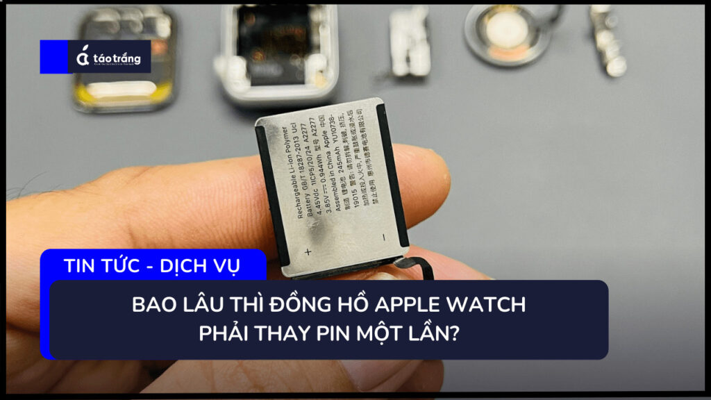 Pin Của Apple Watch: Giải Đáp Thắc Mắc Thường Gặp