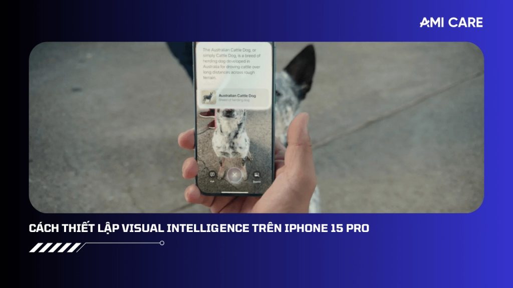 Cách Sử Dụng Visual Intelligence Trên iPhone 15 Pro